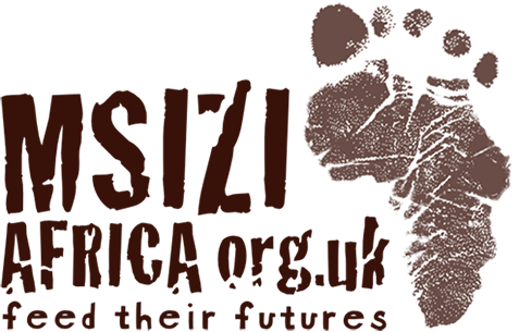 How you can help - Msizi Africa